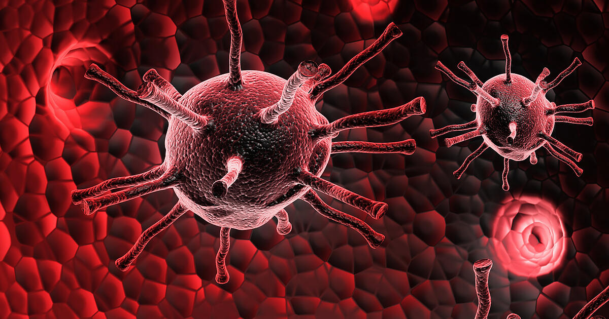 DKMS: Stammzellenspende oder Knochenmarkspende - alles über Risiken und ...