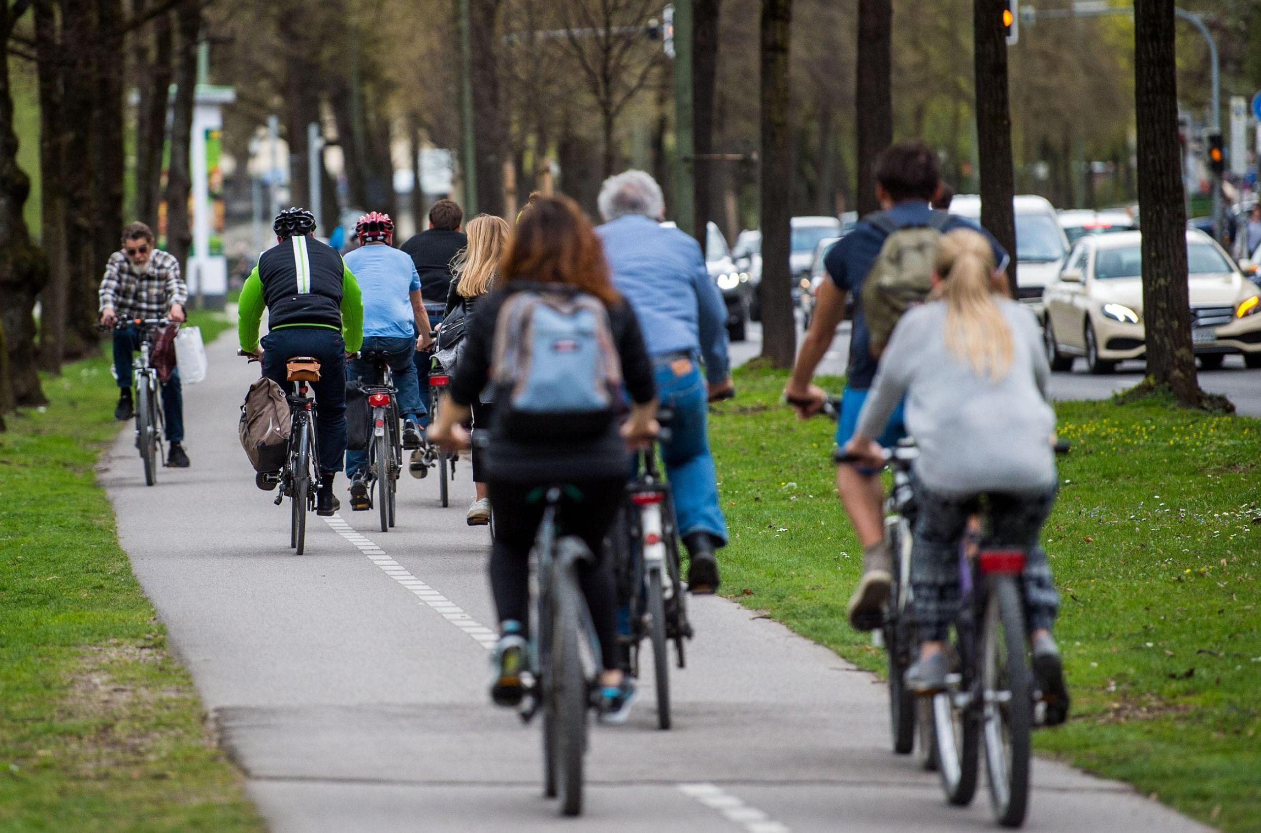 Radfahrer im Straßenverkehr: Diese 6 Radfahrtypen kennt jeder