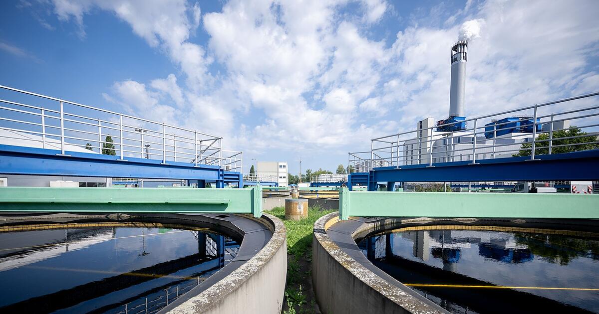 Mitterfels: Gruselfund in Klärwerk - Mitarbeiterin entdeckt Toten