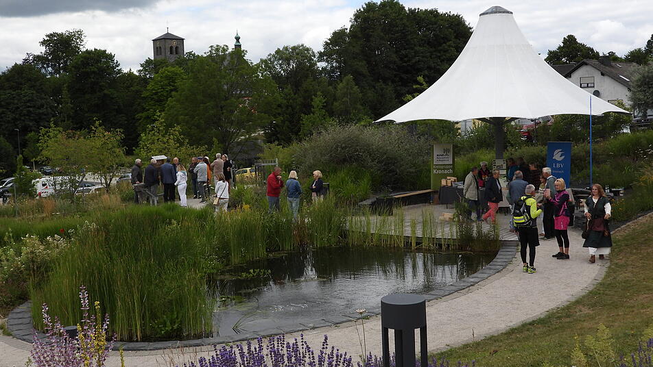Teuschnitz: Arnikafest findet bald statt - Stadt verspricht ...